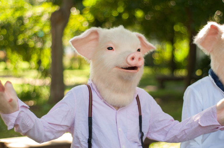 Costume Suits | Zeppet