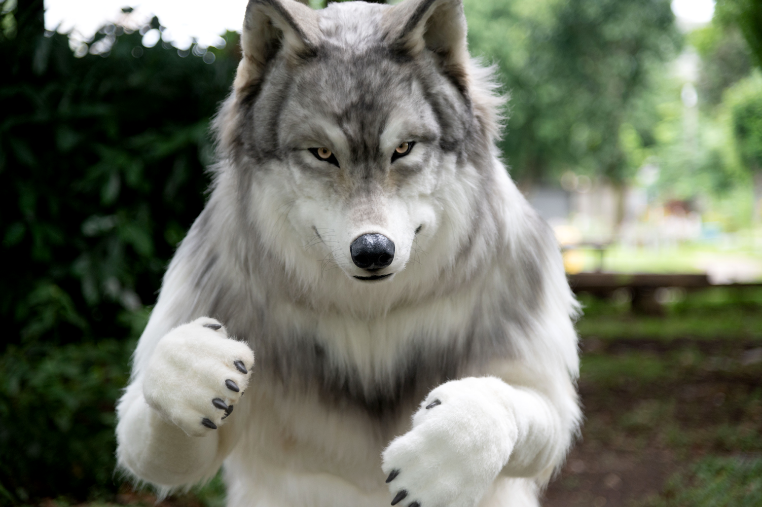 Wolf Suit [Custom-made for personal order] | Zeppet