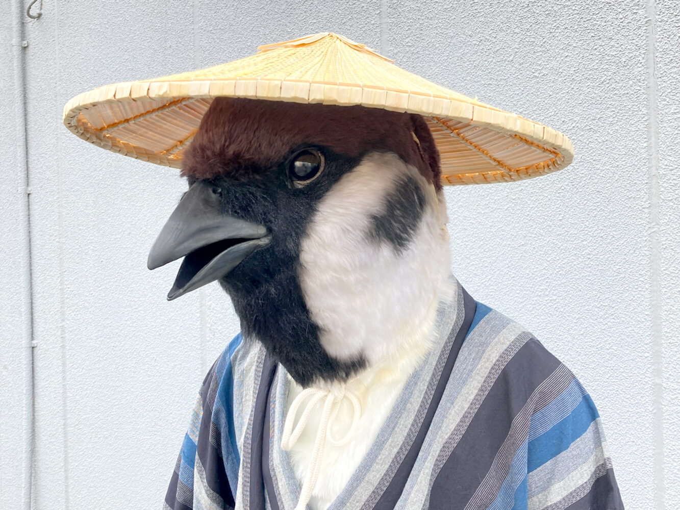 Sparrow Mask – Custom-made for personal order | Zeppet