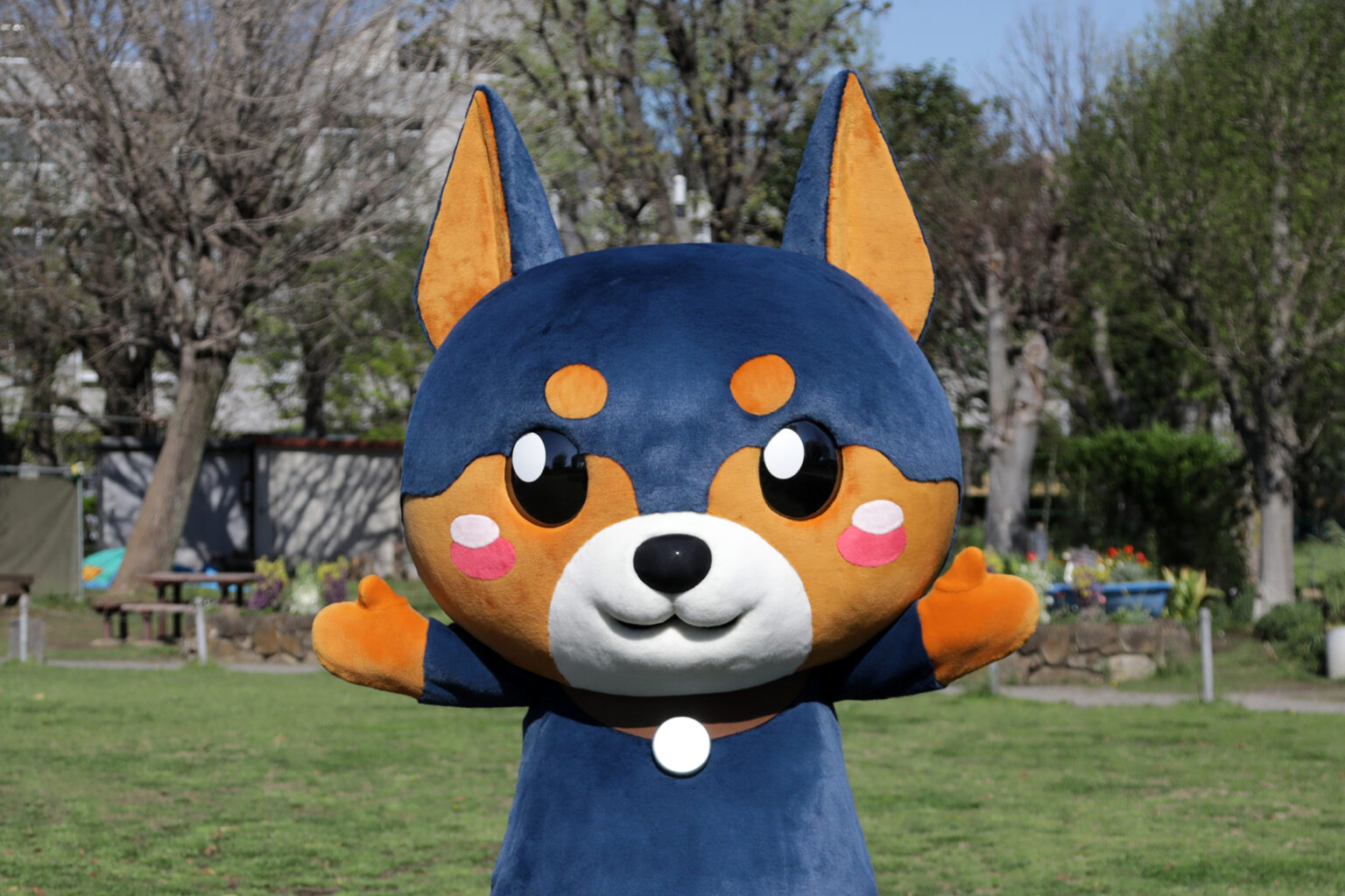 Costume Suits | Zeppet