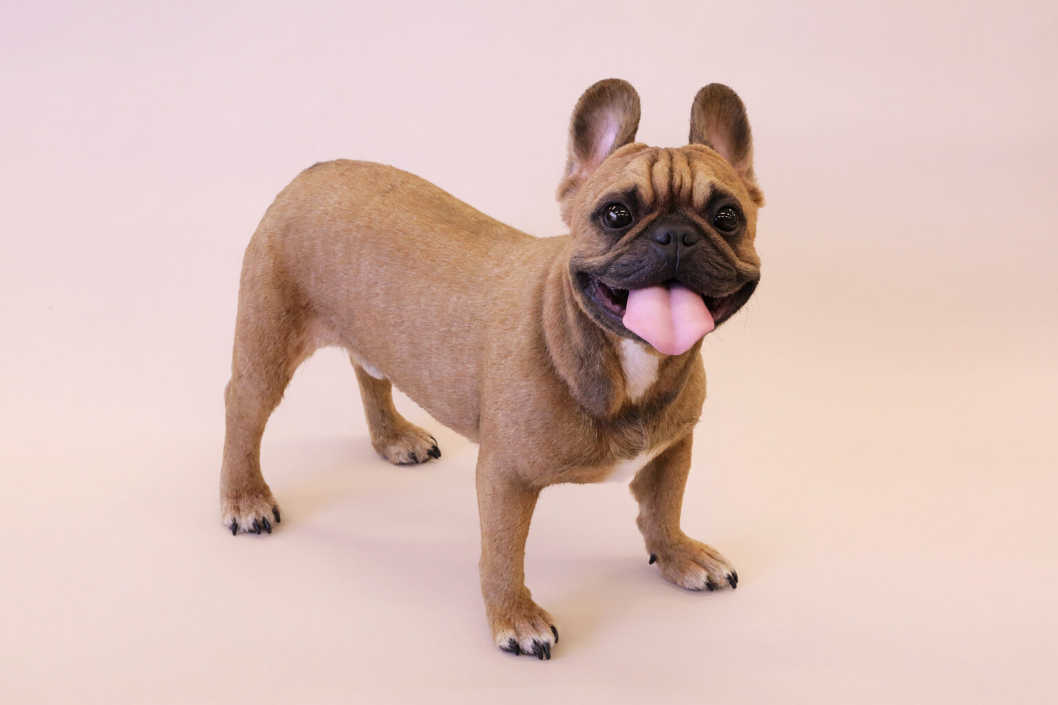 French Bulldog & 1/3 Scale Figure | Zeppet